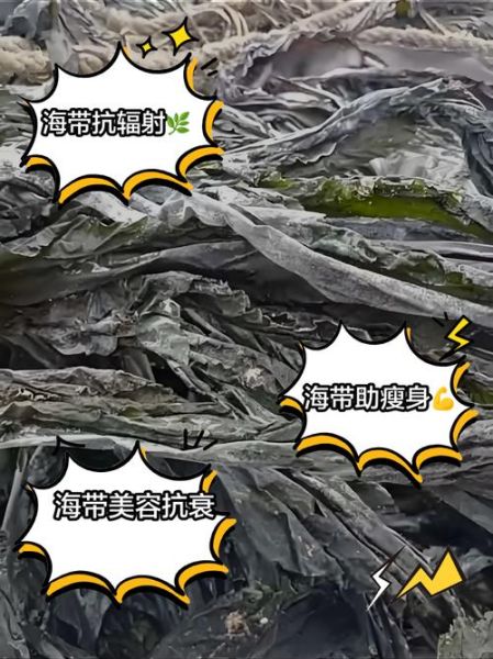 海带吃多了会怎么样_海带过量危害-第2张图片-山城妙识
