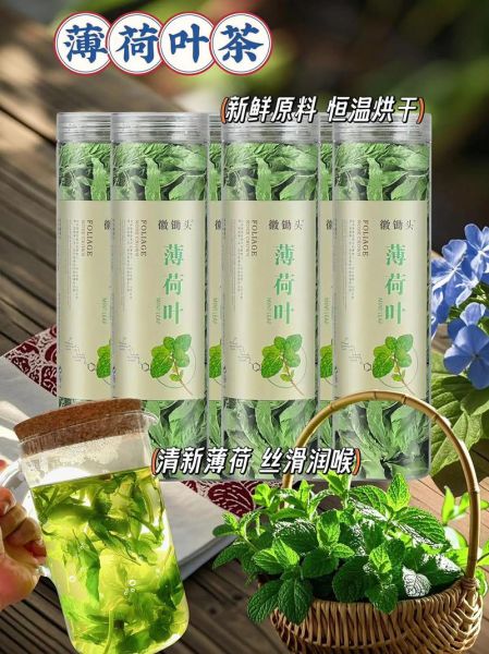 薄荷茶的功效与作用_薄荷茶有副作用吗-第3张图片-山城妙识