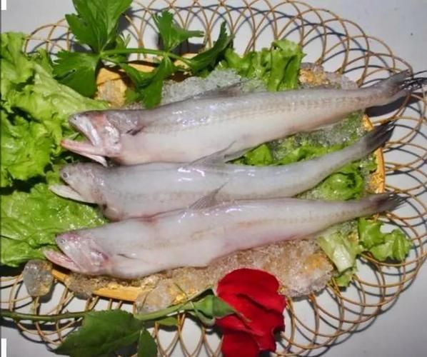 龙头鱼身是什么鱼_龙头鱼身怎么做好吃-第3张图片-山城妙识 龙头鱼身是什么鱼_龙头鱼身怎么做好吃-第3张图片-山城妙识