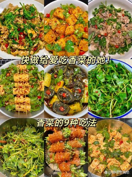 香菜怎么吃好吃_香菜的做法大全-第1张图片-山城妙识