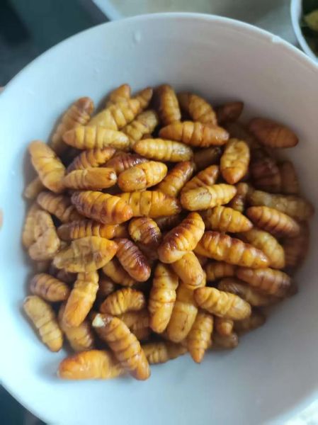 香辣蚕蛹怎么做_香辣蚕蛹怎么做好吃-第2张图片-山城妙识 香辣蚕蛹怎么做_香辣蚕蛹怎么做好吃-第2张图片-山城妙识