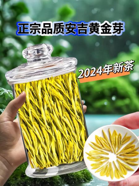 黄金芽属于什么茶_黄金芽是绿茶吗-第2张图片-山城妙识 黄金芽属于什么茶_黄金芽是绿茶吗-第2张图片-山城妙识