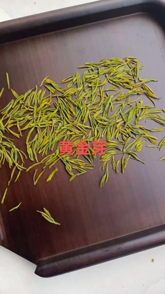 黄金芽属于什么茶_黄金芽是绿茶吗-第1张图片-山城妙识 黄金芽属于什么茶_黄金芽是绿茶吗-第1张图片-山城妙识