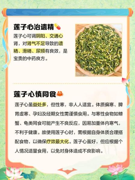 莲子心伤肾厉害吗_莲子心肾毒性真相-第1张图片-山城妙识