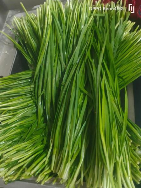 韭菜鸡蛋木耳素馅饺子怎么调馅_韭菜鸡蛋木耳饺子热量高吗-第2张图片-山城妙识 韭菜鸡蛋木耳素馅饺子怎么调馅_韭菜鸡蛋木耳饺子热量高吗-第2张图片-山城妙识