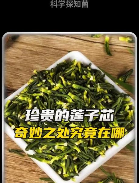 莲子心伤肾厉害吗_莲子心肾毒性真相-第3张图片-山城妙识