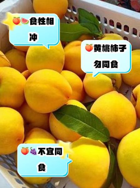 黄桃吃多了会怎样_黄桃为什么不能多吃-第3张图片-山城妙识