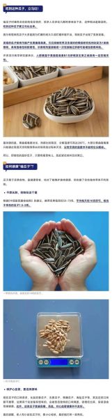 连吃半年瓜子会致癌吗_瓜子致癌真相-第1张图片-山城妙识