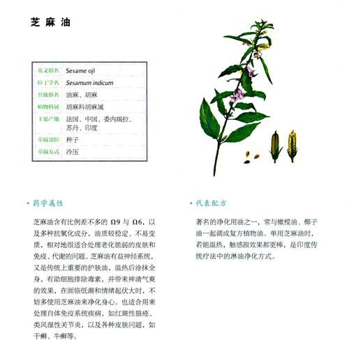 麻油鸡汤的麻油是什么油_黑麻油和白麻油区别-第2张图片-山城妙识 麻油鸡汤的麻油是什么油_黑麻油和白麻油区别-第2张图片-山城妙识