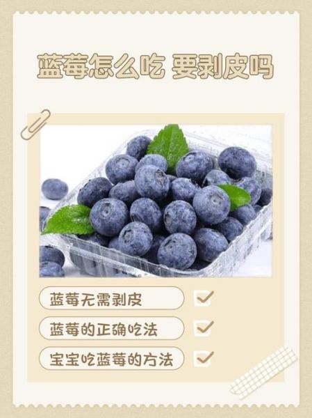 野生蓝莓怎么吃_野生蓝莓的正确吃法-第1张图片-山城妙识