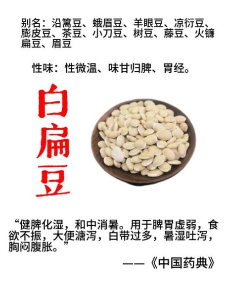 白扁豆的功效与作用_白扁豆怎么吃祛湿健脾-第1张图片-山城妙识
