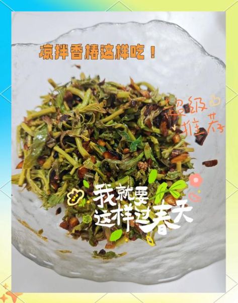 香椿怎么腌制_香椿咸菜家常做法-第1张图片-山城妙识