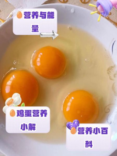 鸡蛋营养成分含量表_鸡蛋一天吃几个最健康-第3张图片-山城妙识