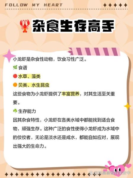龙虾吃什么食物才能养活_龙虾多久喂一次-第1张图片-山城妙识
