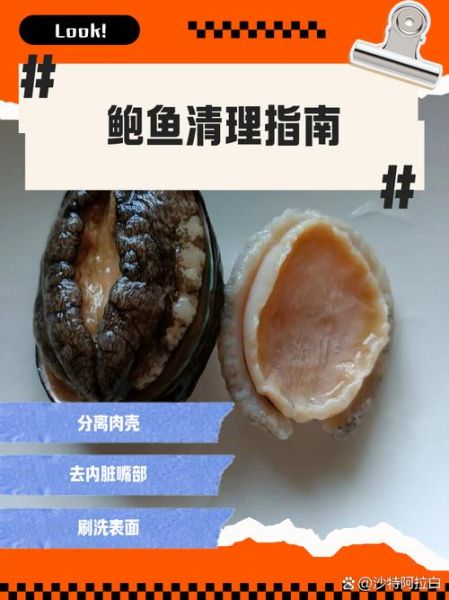 鲍鱼哪里不能吃图解_鲍鱼内脏怎么清理-第1张图片-山城妙识 鲍鱼哪里不能吃图解_鲍鱼内脏怎么清理-第1张图片-山城妙识