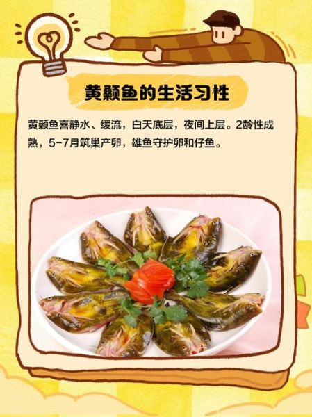 黄刺鱼的营养价值_孕妇可以吃黄刺鱼吗-第3张图片-山城妙识 黄刺鱼的营养价值_孕妇可以吃黄刺鱼吗-第3张图片-山城妙识