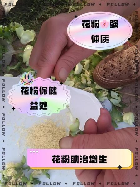 食用花粉的功效与作用_花粉怎么吃效果最好-第3张图片-山城妙识 食用花粉的功效与作用_花粉怎么吃效果最好-第3张图片-山城妙识