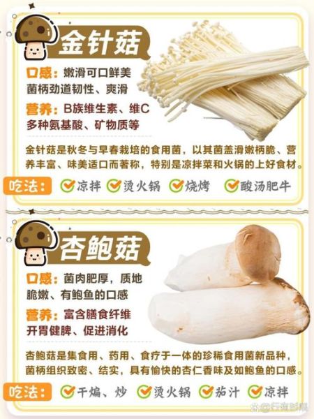 食用菌类大全有哪些_如何识别可食用蘑菇-第2张图片-山城妙识 食用菌类大全有哪些_如何识别可食用蘑菇-第2张图片-山城妙识