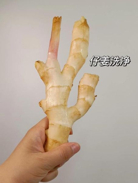 子姜怎么腌制_子姜腌制多久可以吃-第1张图片-山城妙识 子姜怎么腌制_子姜腌制多久可以吃-第1张图片-山城妙识