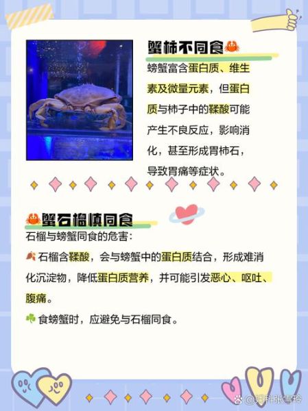 吃大闸蟹不能吃什么_哪些食物相克-第1张图片-山城妙识