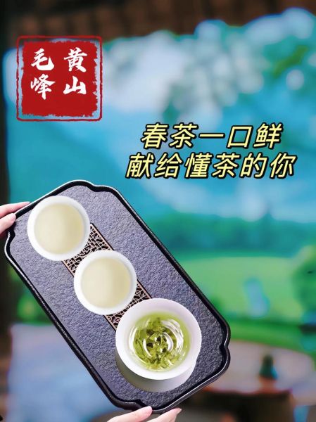 黄山名茶有哪些_黄山毛峰属于什么茶-第3张图片-山城妙识