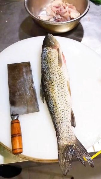 草鱼怎么切片去刺图解_草鱼切片去刺最简单方法-第1张图片-山城妙识 草鱼怎么切片去刺图解_草鱼切片去刺最简单方法-第1张图片-山城妙识