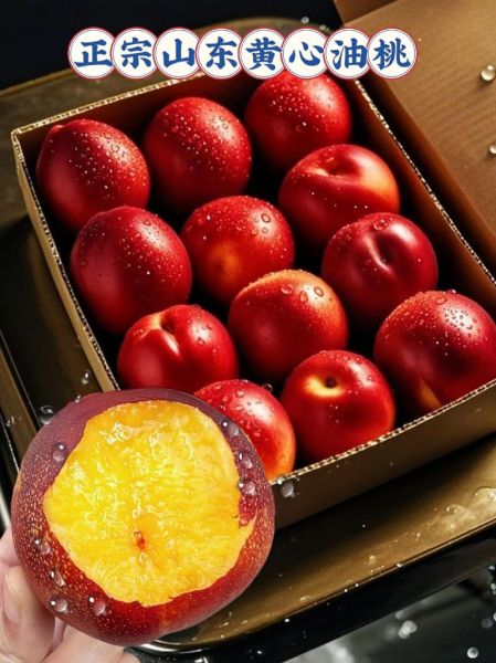 黄油桃品种有哪些_黄油桃哪个品种最甜-第3张图片-山城妙识 黄油桃品种有哪些_黄油桃哪个品种最甜-第3张图片-山城妙识