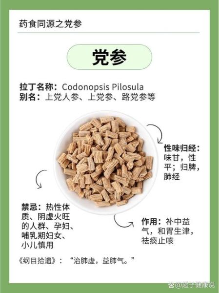 党参怎么吃效果最好_党参禁忌有哪些-第1张图片-山城妙识