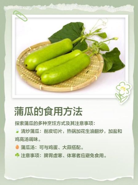 蒲瓜苦的能吃吗_蒲瓜苦吃了会中毒吗-第1张图片-山城妙识