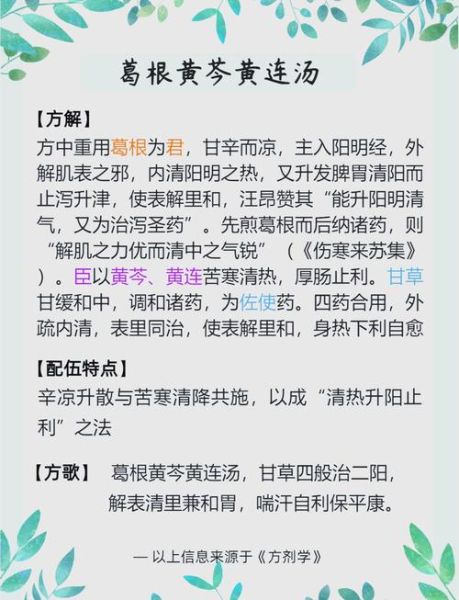 葛根芩连汤的功效与作用_葛根芩连汤适合什么人-第1张图片-山城妙识