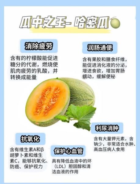 哈密瓜的功效与作用_哈密瓜的营养价值-第2张图片-山城妙识