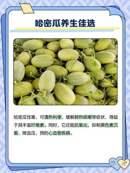 哈密瓜的功效与作用_哈密瓜的营养价值-第1张图片-山城妙识
