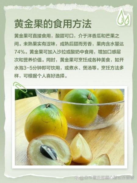 黄金果的功效与作用_黄金果怎么吃效果最好-第1张图片-山城妙识 黄金果的功效与作用_黄金果怎么吃效果最好-第1张图片-山城妙识