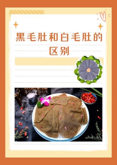 黑毛肚是什么_黑毛肚和毛肚区别-第1张图片-山城妙识 黑毛肚是什么_黑毛肚和毛肚区别-第1张图片-山城妙识