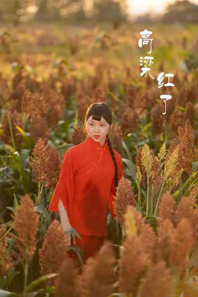 高粱红了演员表_高粱红了主要演员是谁-第1张图片-山城妙识 高粱红了演员表_高粱红了主要演员是谁-第1张图片-山城妙识