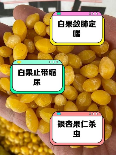 银杏仁怎么吃最安全_银杏仁的正确吃法-第1张图片-山城妙识