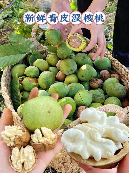 鲜核桃怎么保存_鲜核桃一天吃几个最好-第2张图片-山城妙识 鲜核桃怎么保存_鲜核桃一天吃几个最好-第2张图片-山城妙识