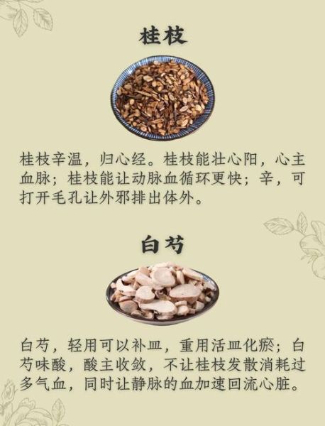 瓜蒌薤白桂枝汤的功效与作用_瓜蒌薤白桂枝汤适合什么人喝-第3张图片-山城妙识