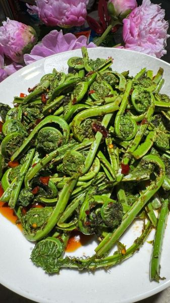 野菜大全可食用图片_哪些野菜可以吃-第2张图片-山城妙识