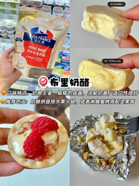 荷兰奶酪怎么保存_荷兰奶酪有哪些种类-第1张图片-山城妙识