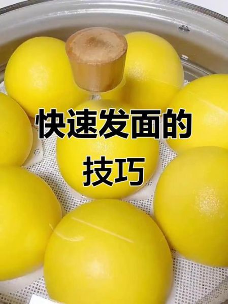 面粉怎么发面做包子_包子皮松软秘诀-第3张图片-山城妙识 面粉怎么发面做包子_包子皮松软秘诀-第3张图片-山城妙识