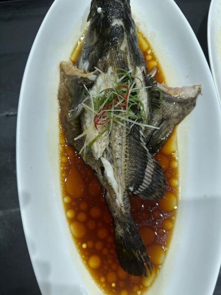 淡水石斑鱼图片有几种_淡水石斑鱼品种大全-第2张图片-山城妙识 淡水石斑鱼图片有几种_淡水石斑鱼品种大全-第2张图片-山城妙识