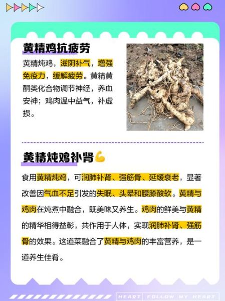 鸡子补精子做法_鸡子怎么吃最补精子-第1张图片-山城妙识