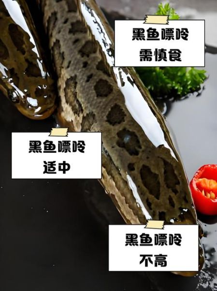 黑鱼不适合什么人吃_痛风患者能吃黑鱼吗-第1张图片-山城妙识 黑鱼不适合什么人吃_痛风患者能吃黑鱼吗-第1张图片-山城妙识