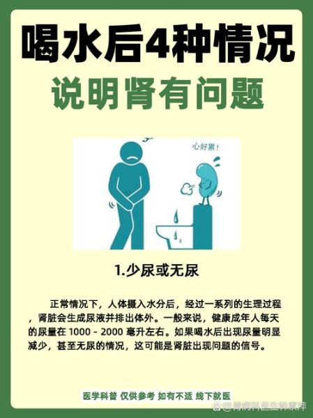 肾病早期征兆有哪些_如何判断肾病早期症状-第3张图片-山城妙识 肾病早期征兆有哪些_如何判断肾病早期症状-第3张图片-山城妙识