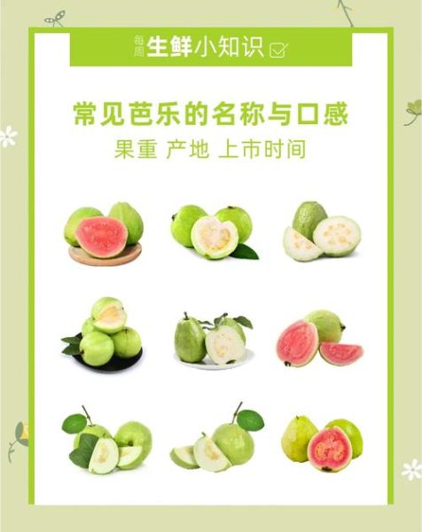 芭乐应用网页版怎么登录_芭乐网页版有哪些功能-第2张图片-山城妙识 芭乐应用网页版怎么登录_芭乐网页版有哪些功能-第2张图片-山城妙识