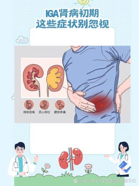 肾病早期征兆有哪些_如何判断肾病早期症状-第2张图片-山城妙识 肾病早期征兆有哪些_如何判断肾病早期症状-第2张图片-山城妙识