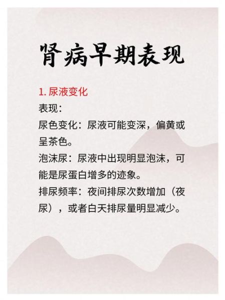 肾病早期征兆有哪些_如何判断肾病早期症状-第1张图片-山城妙识 肾病早期征兆有哪些_如何判断肾病早期症状-第1张图片-山城妙识