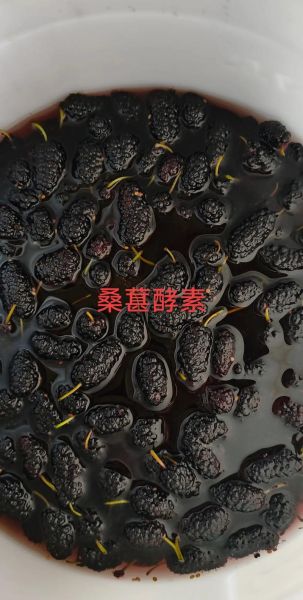 自制水果酵素的功效_水果酵素怎么做才有效-第3张图片-山城妙识 自制水果酵素的功效_水果酵素怎么做才有效-第3张图片-山城妙识