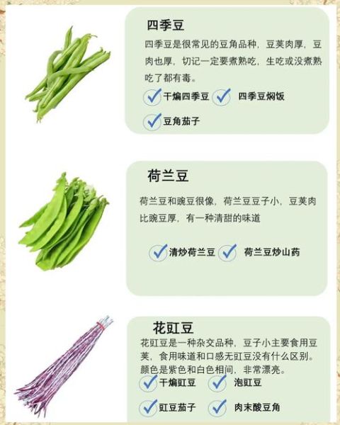 刀豆和扁豆的区别_刀豆和扁豆哪个营养高-第1张图片-山城妙识 刀豆和扁豆的区别_刀豆和扁豆哪个营养高-第1张图片-山城妙识